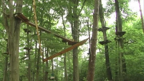 Mediathek Hessen - Fun Forest - Abenteuer-Park Offenbach